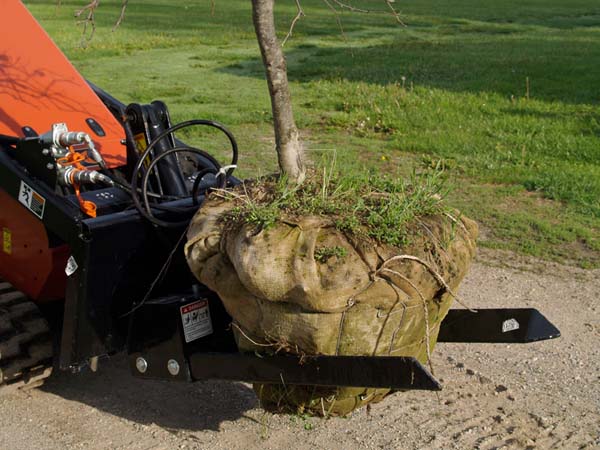 Tree Forks | Paladin Attachments